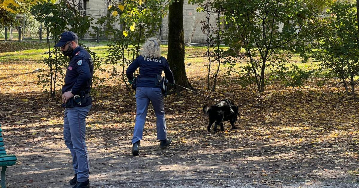 Il fiuto di Barak e Avana scova quasi un etto e mezzo di hashish e dosi ...