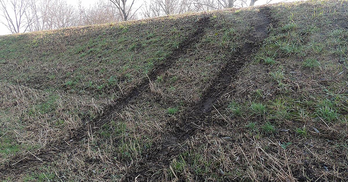 Zibello: l'argine del Po scambiato per una pista da cross - Gazzetta di ...