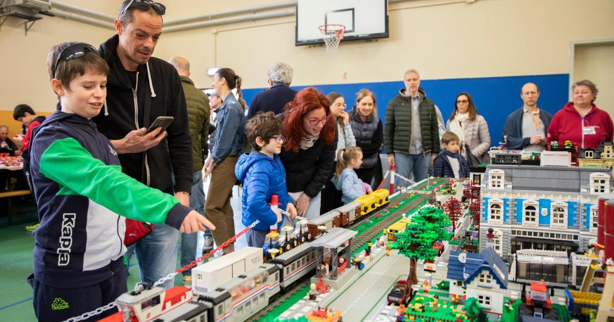 Grande successo di "Un mattoncino per il giardino di Luana", l ...