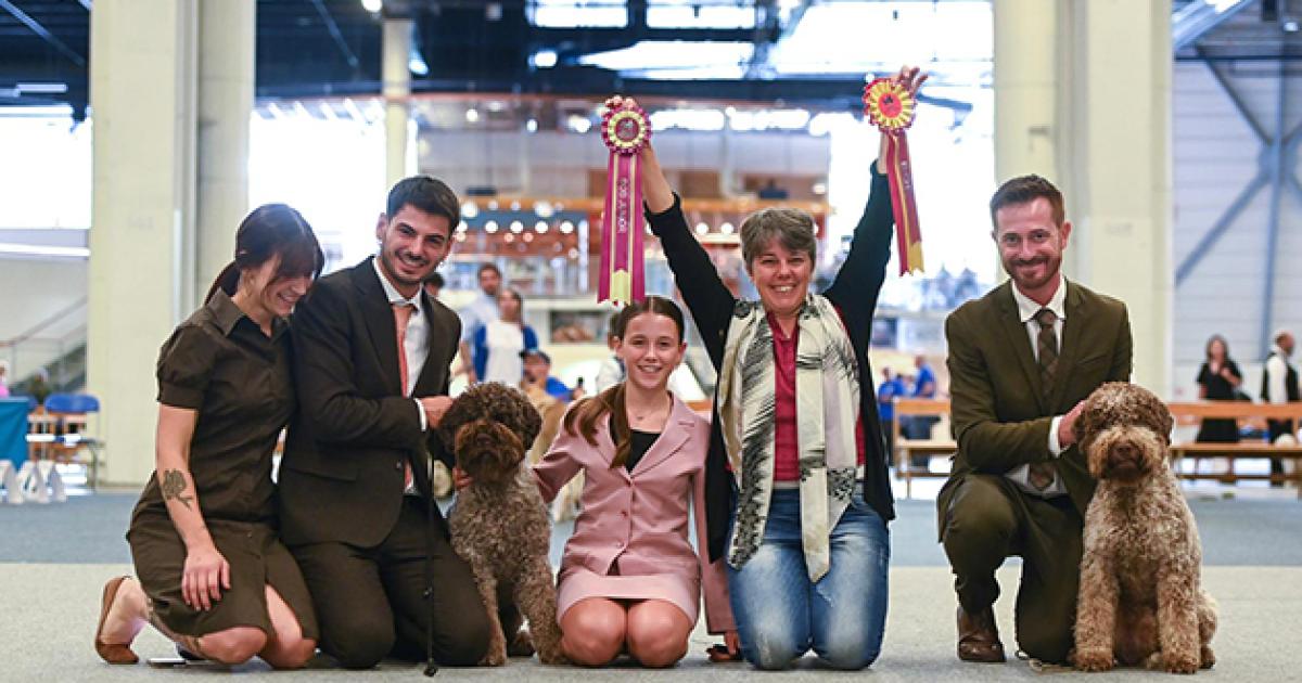 Dal World Dog Show 2025 di Helsinki, Parma torna vincente - Fotogallery - Foto 1 di 4 - Gazzetta ...