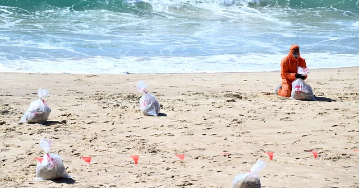 Palle di catrame si riversano su spiagge di Sydney - Gazzetta di Parma