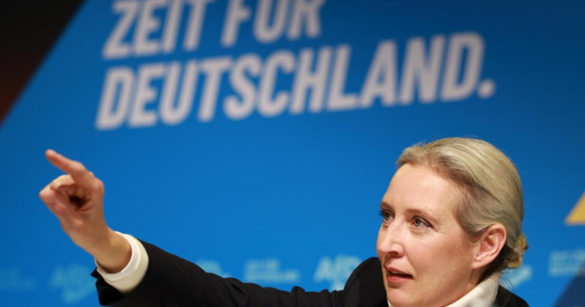 La leader di Afd Weidel intervistata da Musk "riscrive" la Storia ...