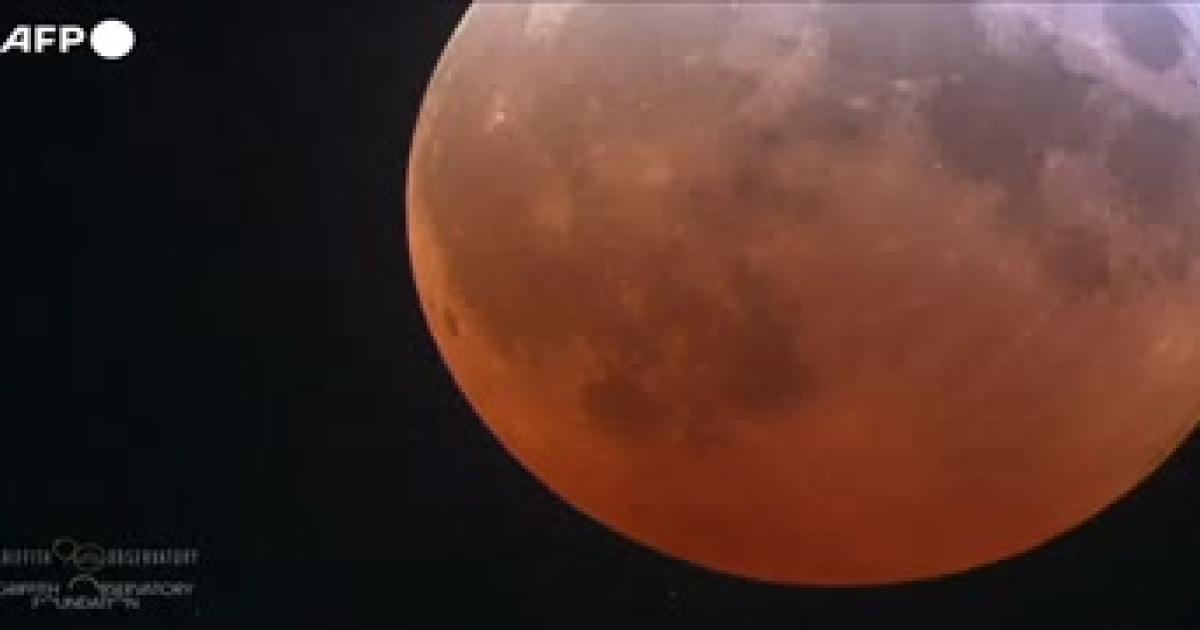 L'eclissi totale della Luna "rosso sangue" nel cielo di Los Angeles - Gazzetta di Parma