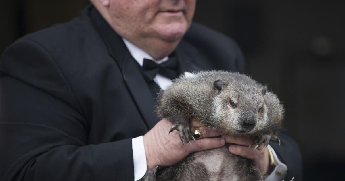 La meteo-marmotta Phil: primavera alle porte - Foto 1 di 8 - Gazzetta ...
