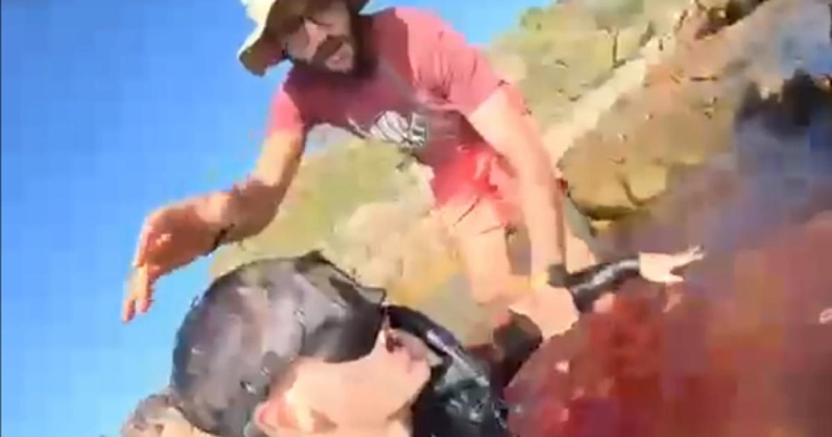 Il 20enne parmigiano Matteo Mariotti in Australia: «Attaccato da uno squalo. Mi ha trascinato al ...