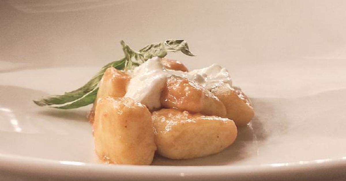 Un menu tutto con farina di grillo al Cubo Bistrot - Gazzetta di Parma