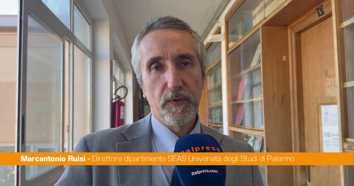 Unipa, Ruisi "Con Unicredit laboratorio per un efficace Business Plan ...