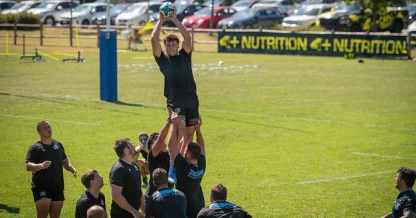 Zebre Parma, rinnovano i mediani inglesi Tiff Eden e Chris Cook ...