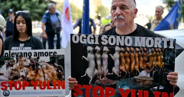 'Stop a festival Cina dove si mangiano i cani', corteo a Napoli ...