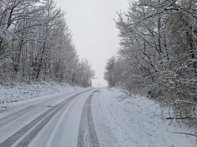Neve in Appennino, 10 centimetri a Schia. Nevischio a quote basse ...