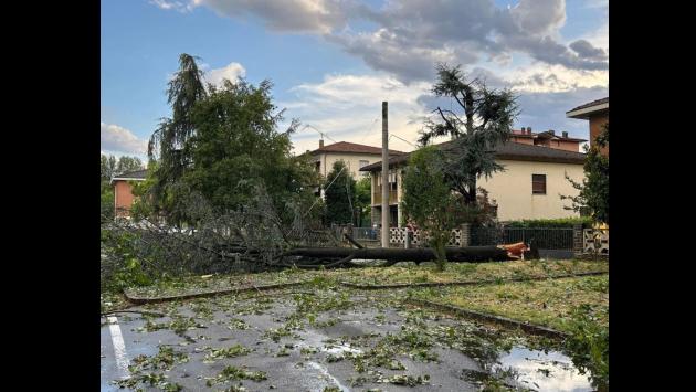Temporali, grandine e danni nel Reggiano, in provincia di Modena, nel ...