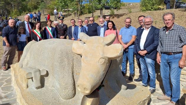 Aurora, la mucca felice di Neviano - Gazzetta di Parma