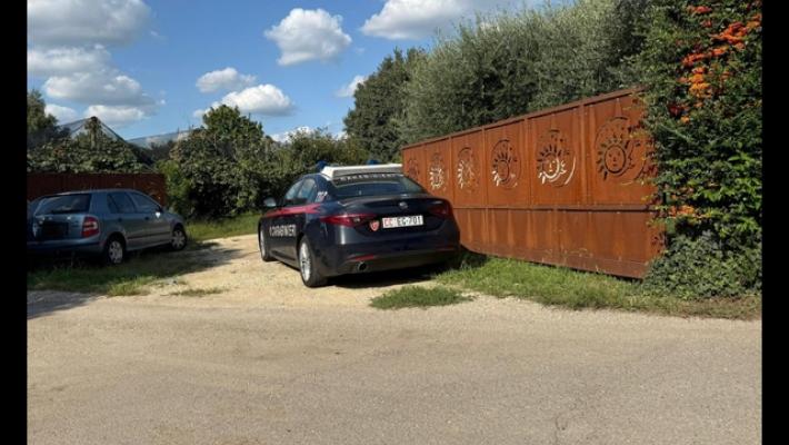 Ragazzo 16 anni annega in una piscina a Verona - Gazzetta di Parma