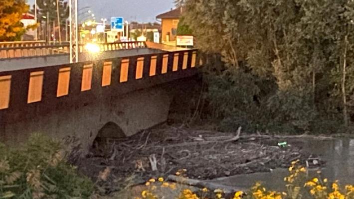 L'allarme di Cesari: «Il ponte di Sorbolo ha due campate occluse ...